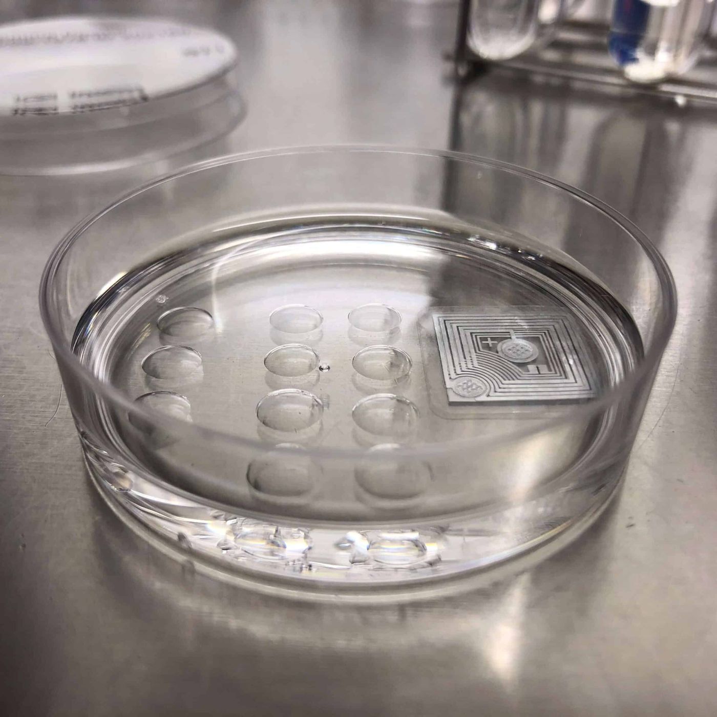 In-Vitro Maturation (IVM) | Advanced Fertility Technology